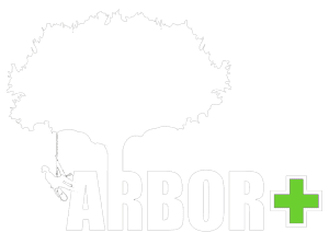 Arbor Plus – Utah’s Trusted Tree Service & Expert Arborists