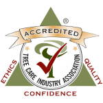 Arbor Plus – Utah’s Trusted Tree Service & Expert Arborists