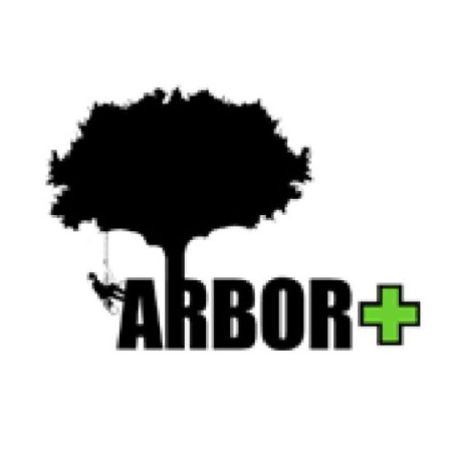 Arbor Plus – Utah’s Trusted Tree Service & Expert Arborists
