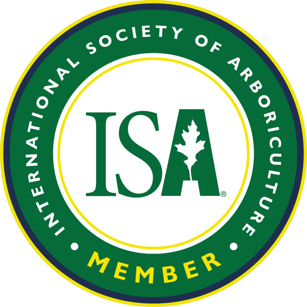 Arbor Plus – Utah’s Trusted Tree Service & Expert Arborists